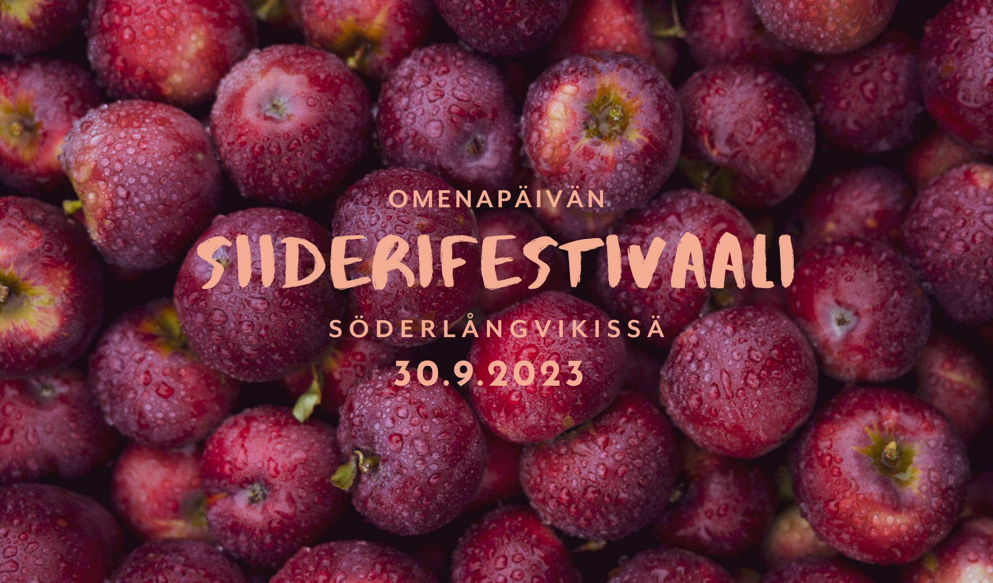 Finnish ciders at the Apple Day - Söderlångvik